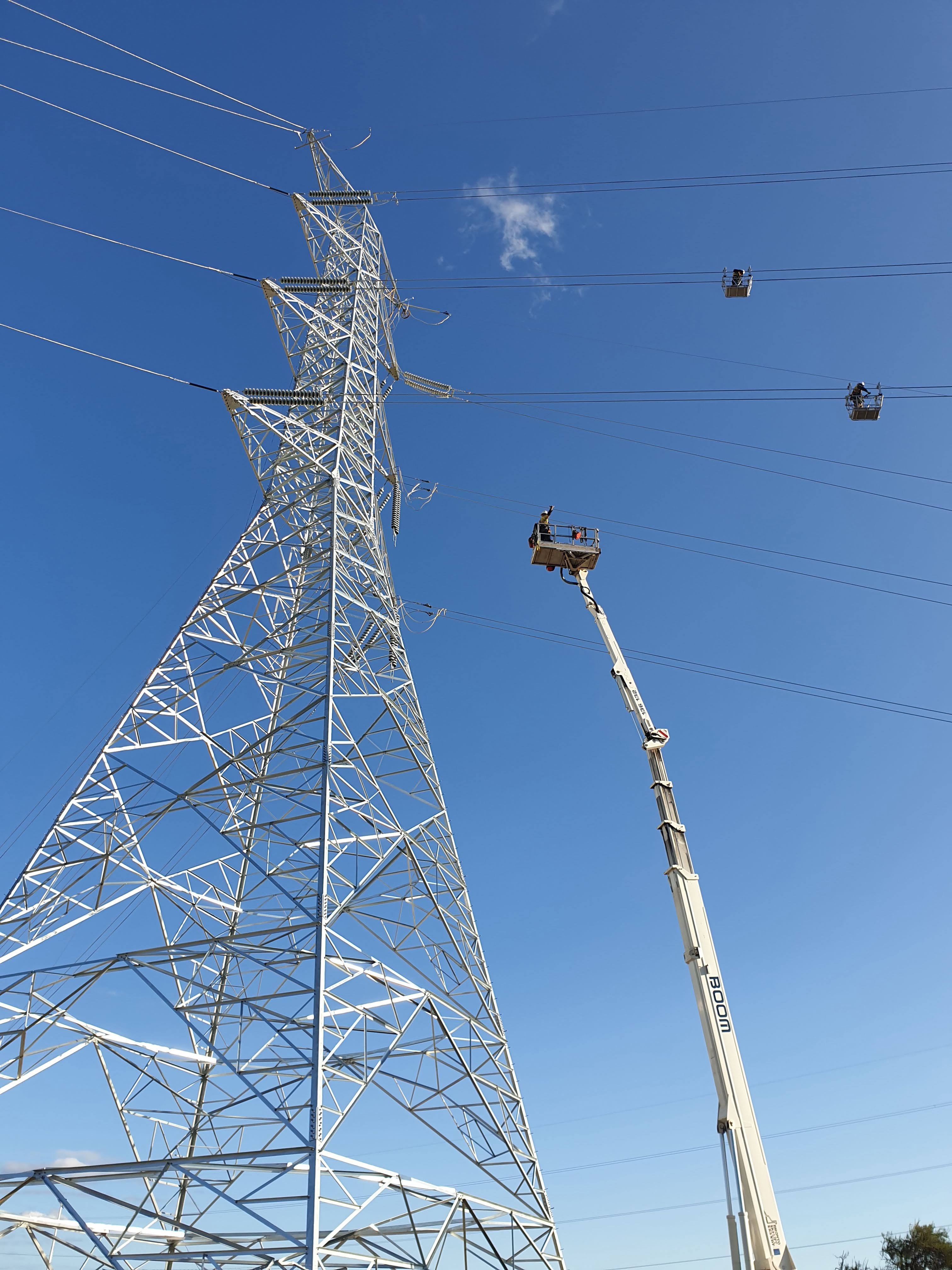 Major Network Maintenance & Upgrade Program | Genus Group